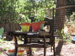 Lois Reynolds and Terry Mead's garden - Bringing Back the Natives ...